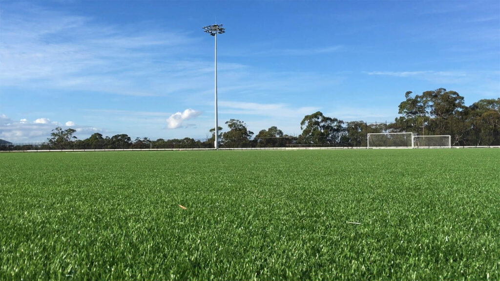 Northern Tigers Club Statement - Northern Tigers FC