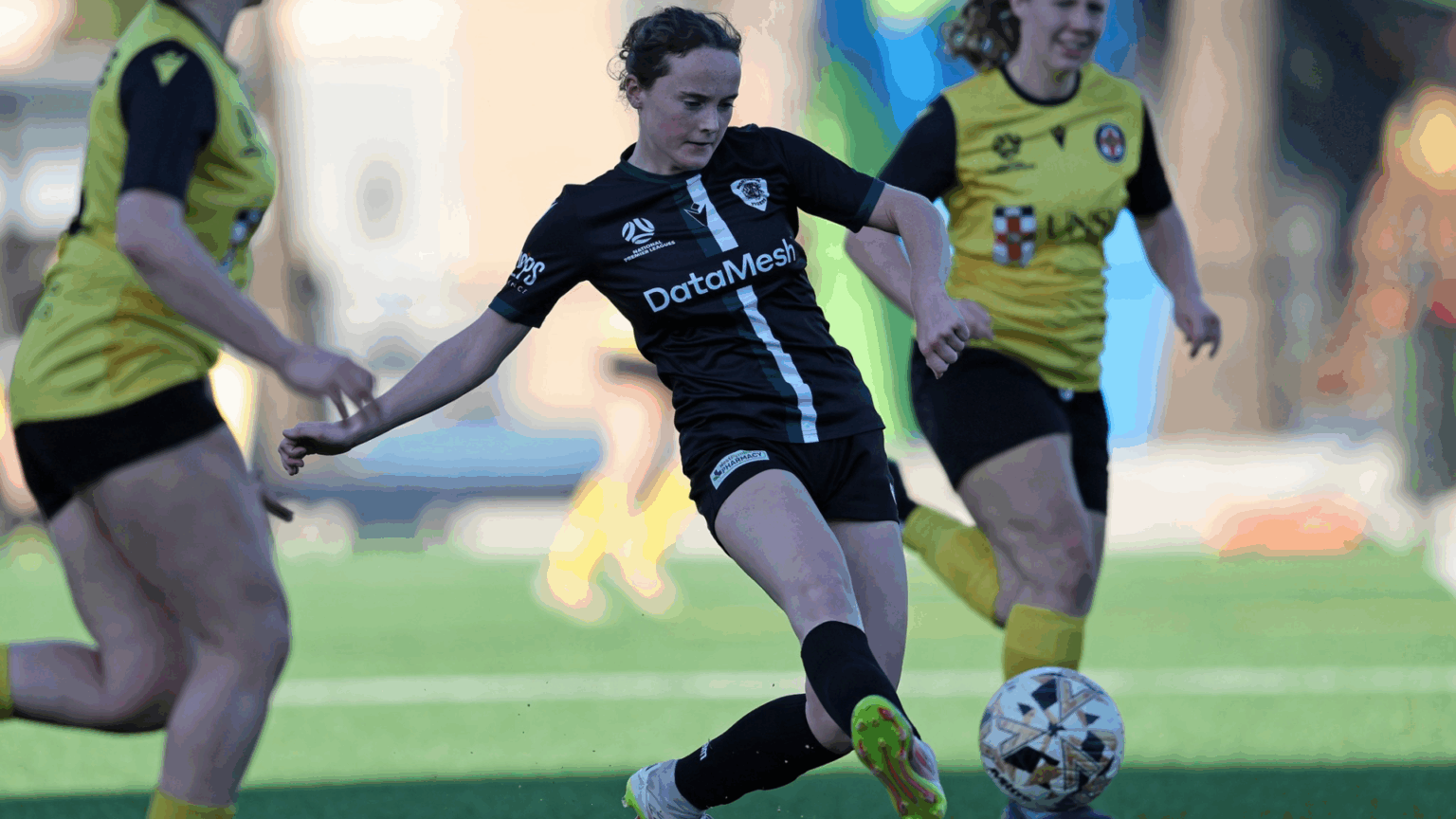 The Rise of Eliza Brown: A Decade with the Northern Tigers - Northern ...